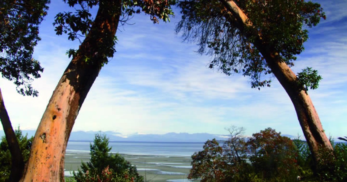 Beach Acres Resort - Gallery