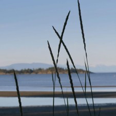 Beach Acres Resort - Gallery